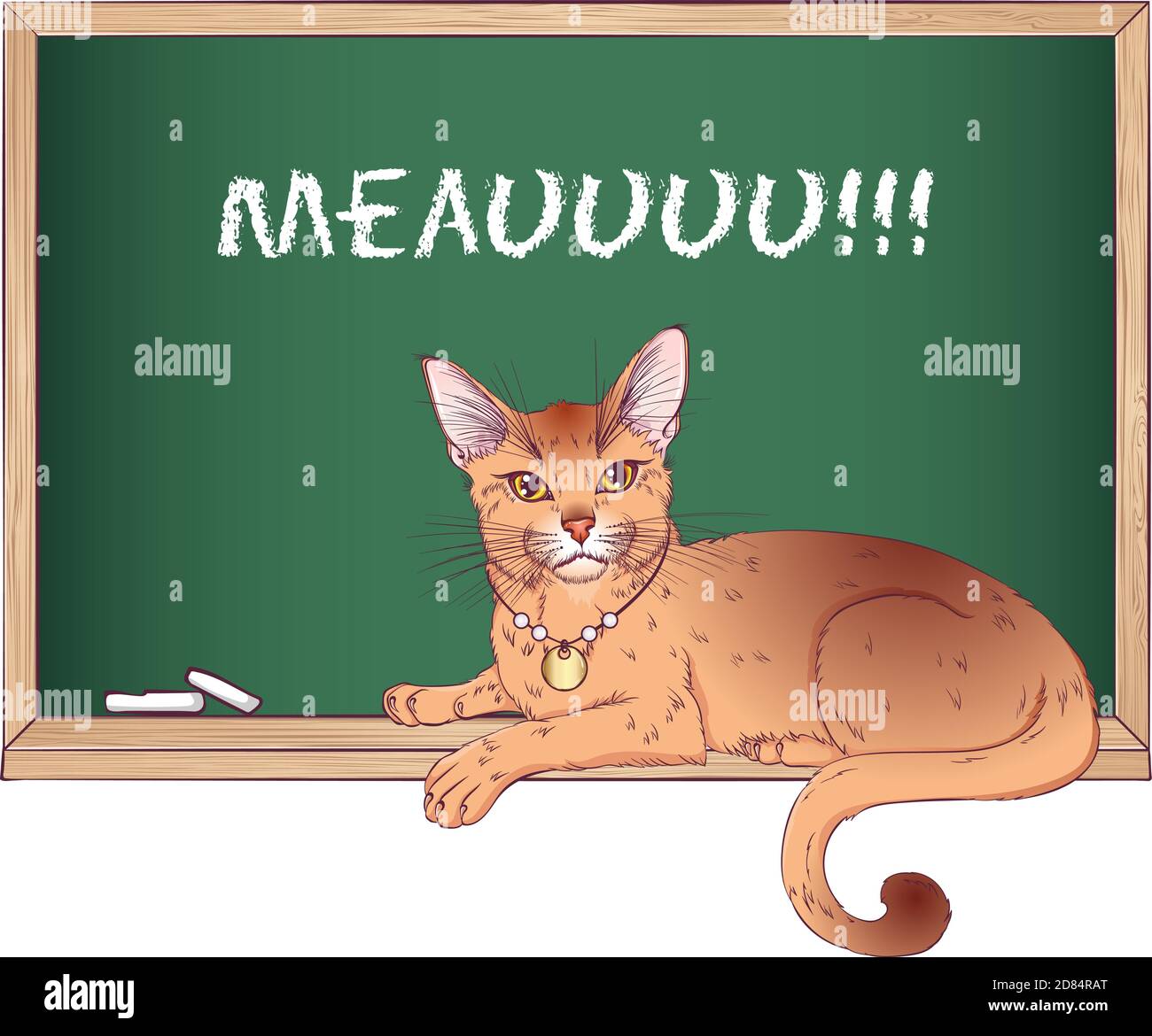 Lying cat Abyssinian breed. Vector illustration with a cat near the ...