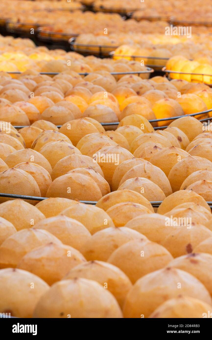 Making process of sun exposuring drying peeled dried persimmon in a ...