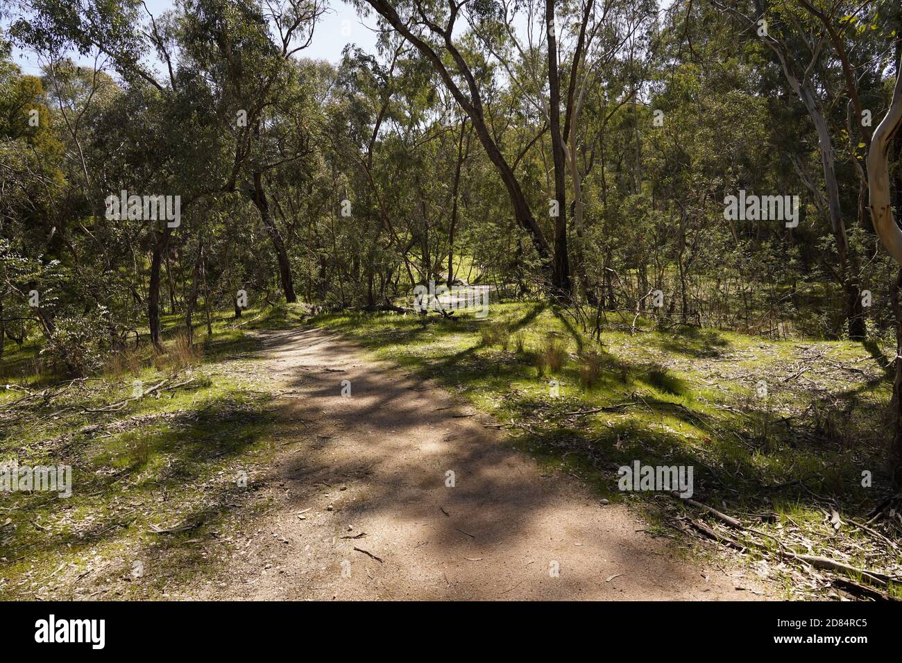 Gold rush bush prospecting area, Victoria, Australia Stock Photo - Alamy