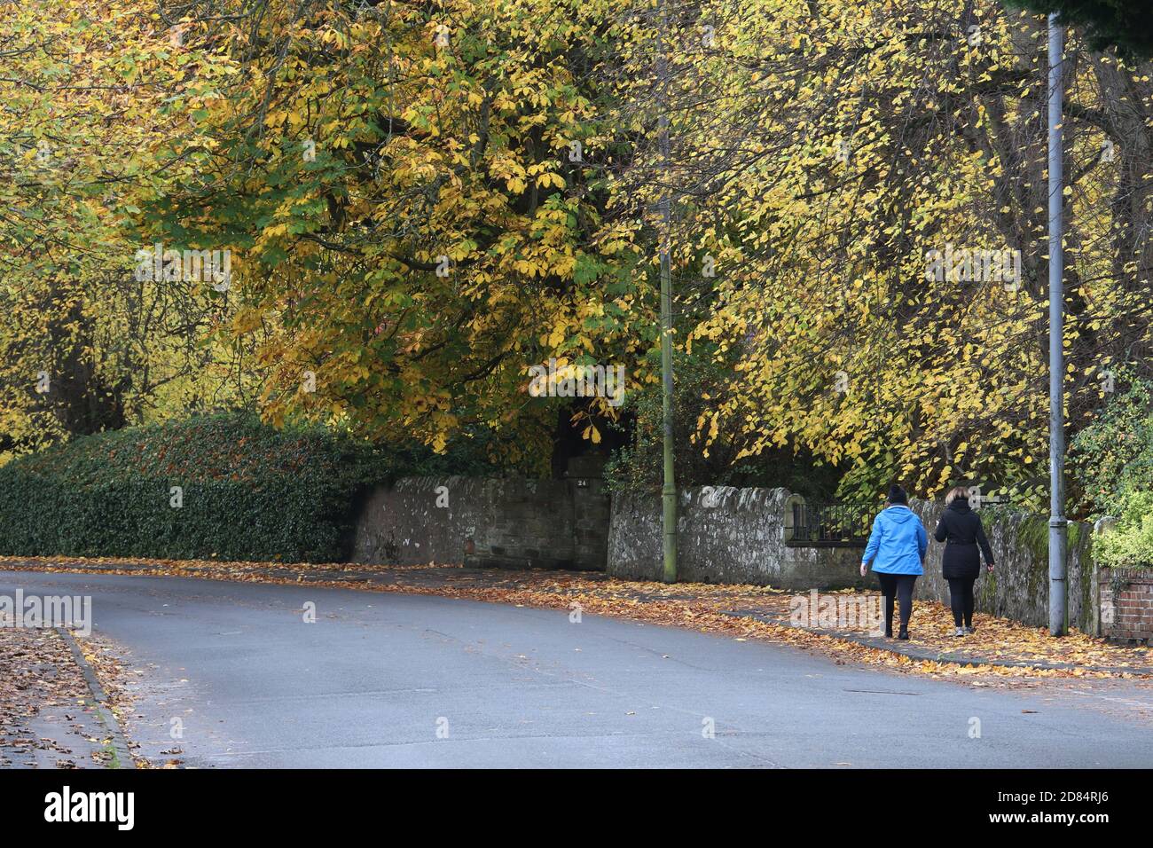 Suburb of ayr hi-res stock photography and images - Alamy