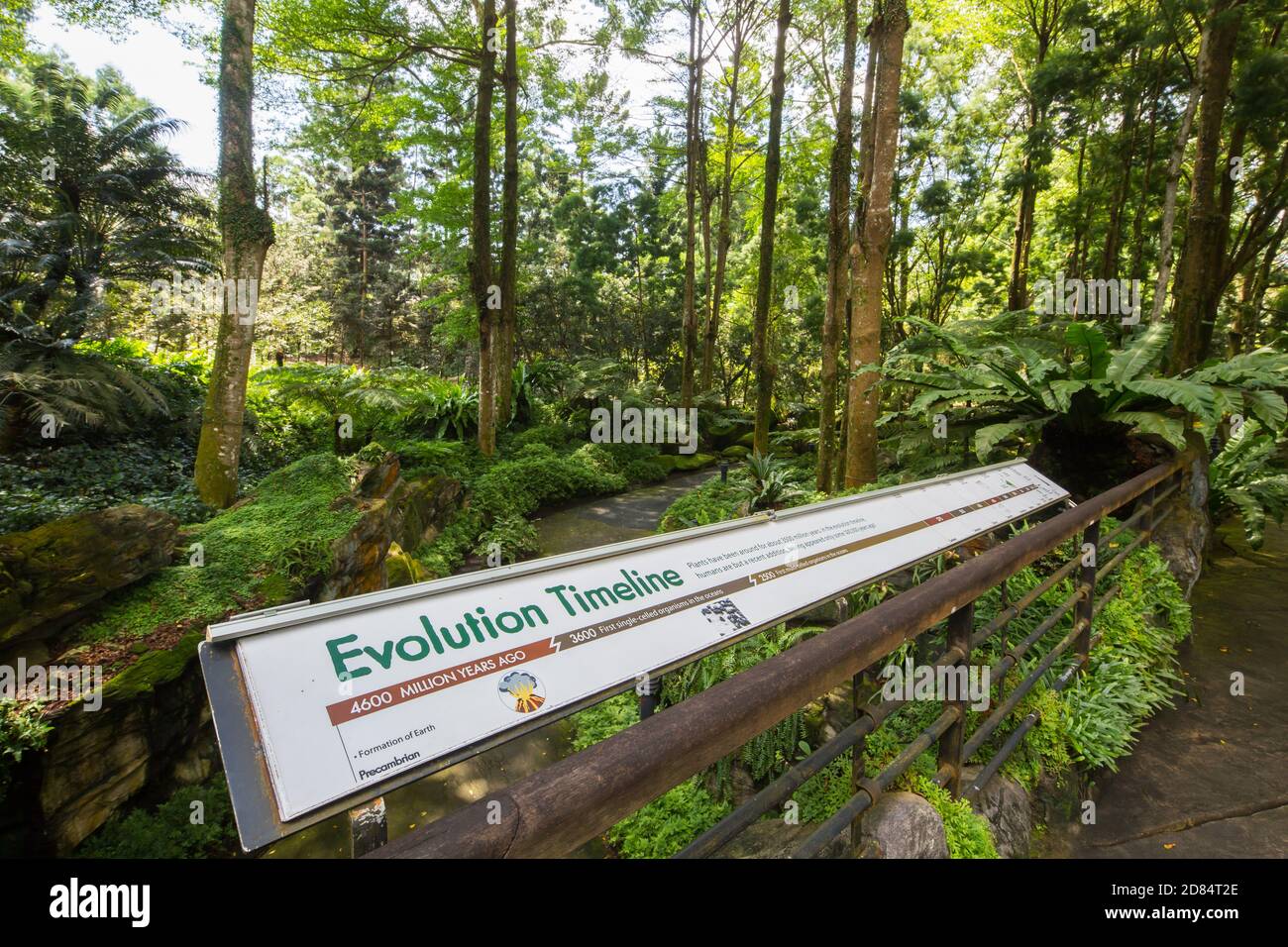 A scenic and educational walk at the Evolution Garden within Singapore ...
