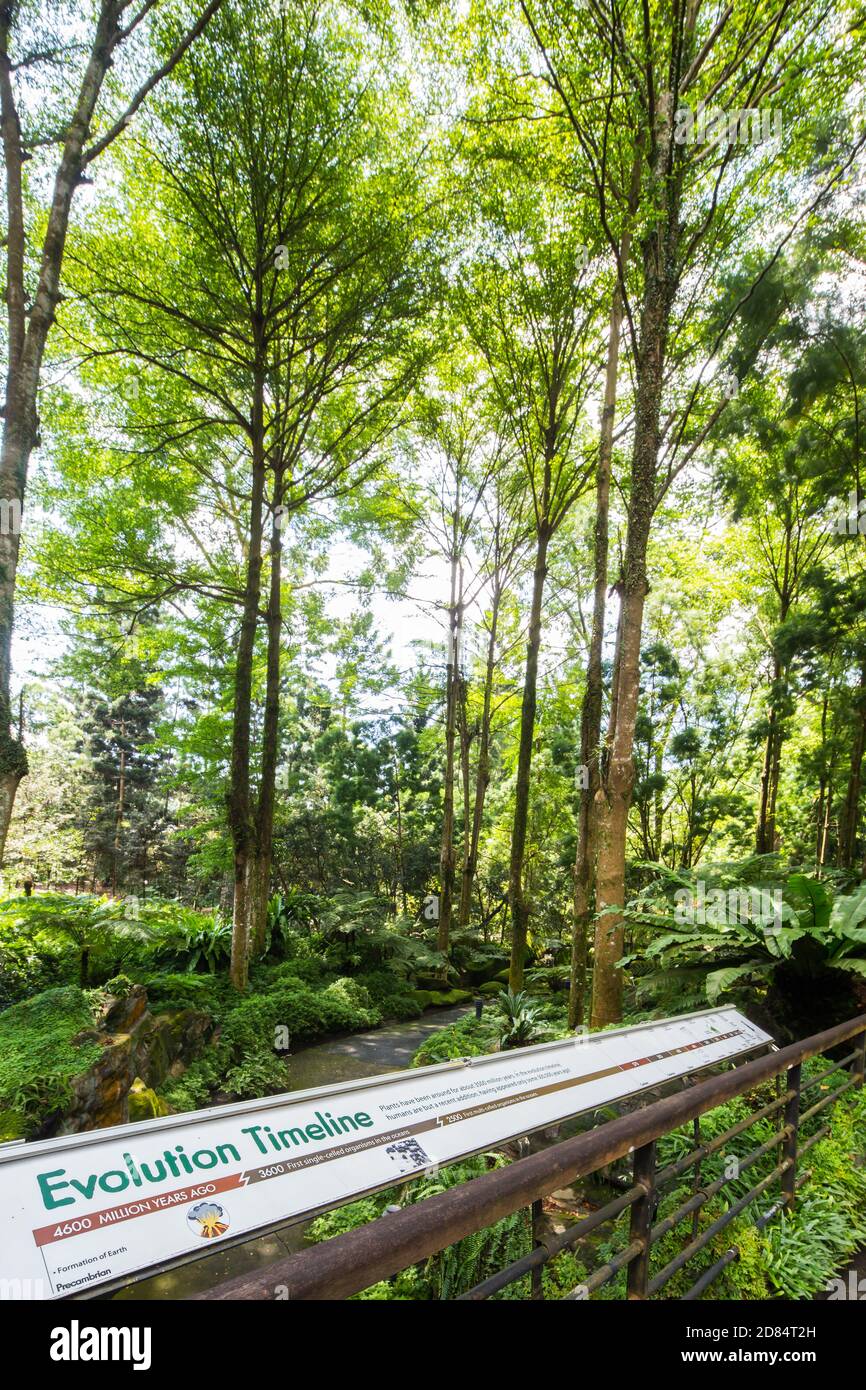 Vertical scenic and board explaining timeline about Evolution Garden ...