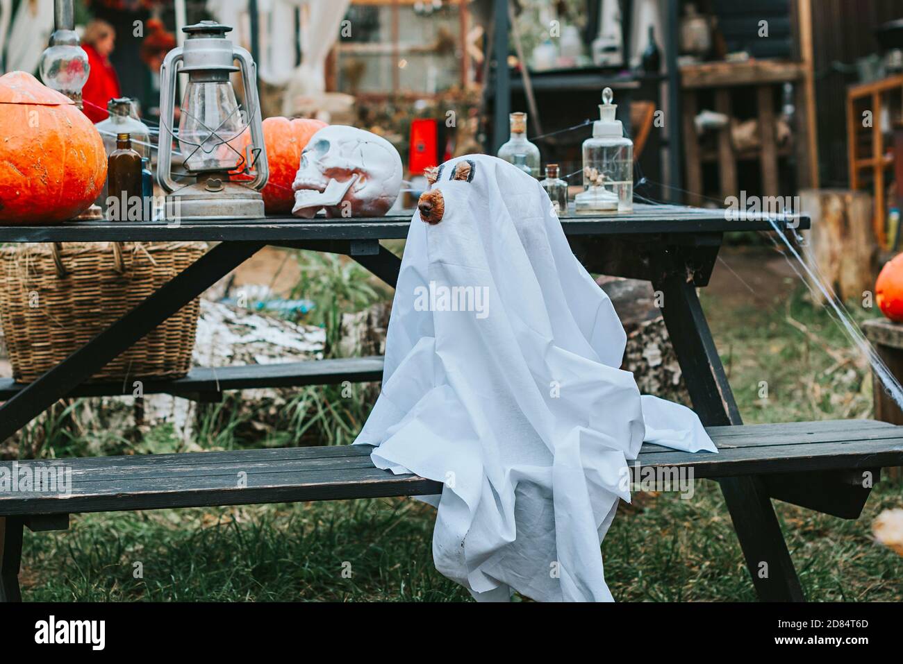 Scary Ghost Dog High Resolution Stock Photography and Images - Alamy