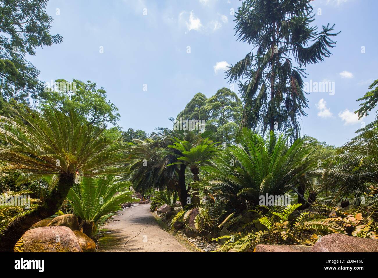 A path for scenic educational greenery walk at the Evolution Garden to ...