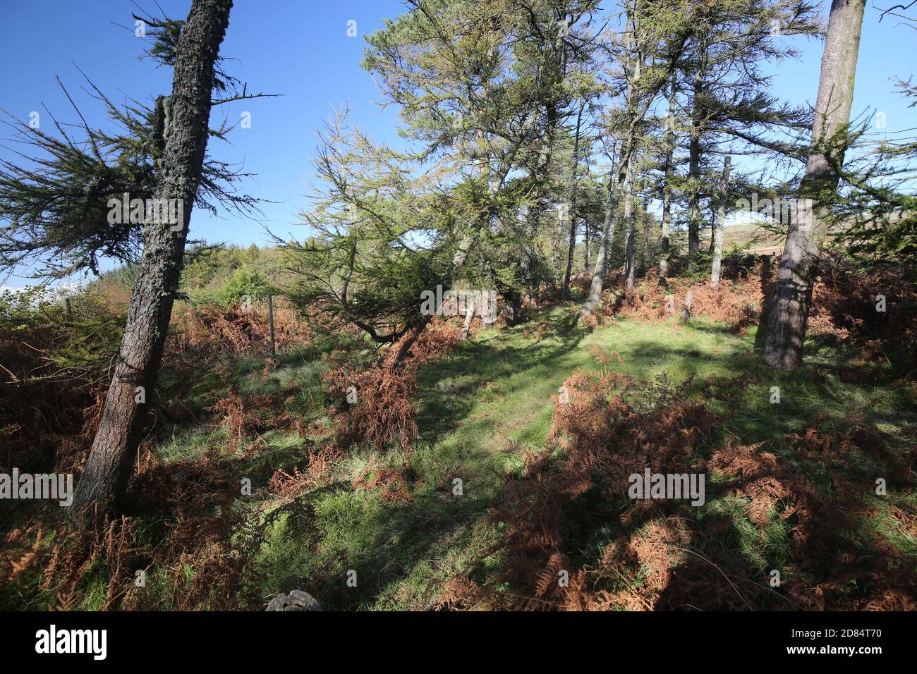 Fairlie ayrshire hi-res stock photography and images - Alamy