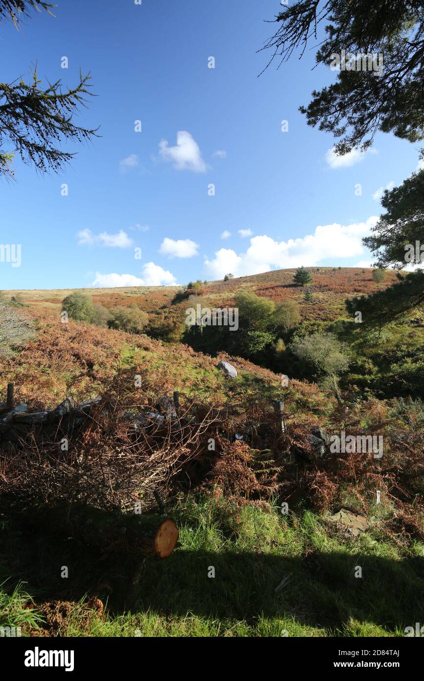 Fairlie moor hi-res stock photography and images - Alamy