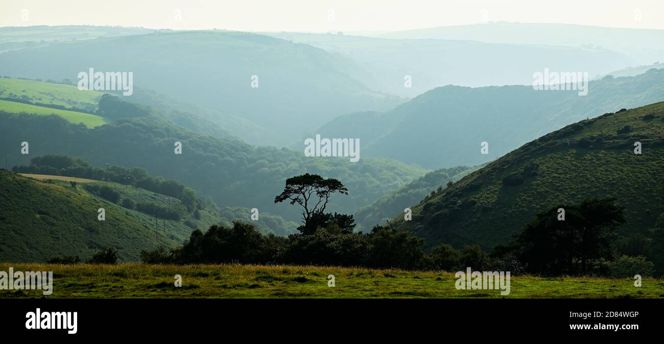 Exmoor Forest High Resolution Stock Photography and Images - Alamy