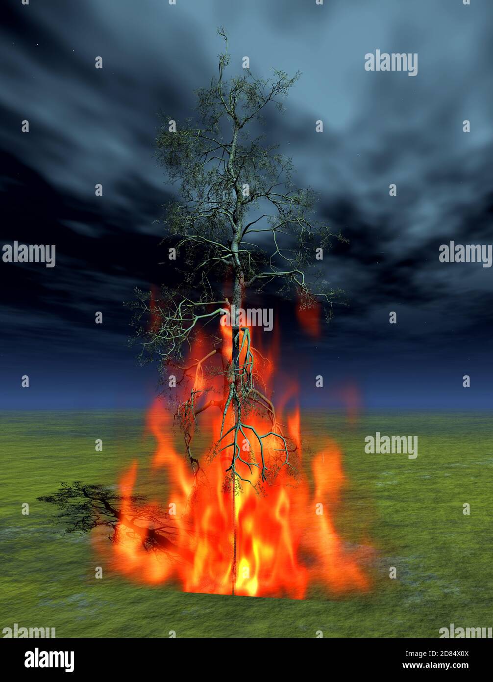 Tree On Fire Stock Photo - Alamy