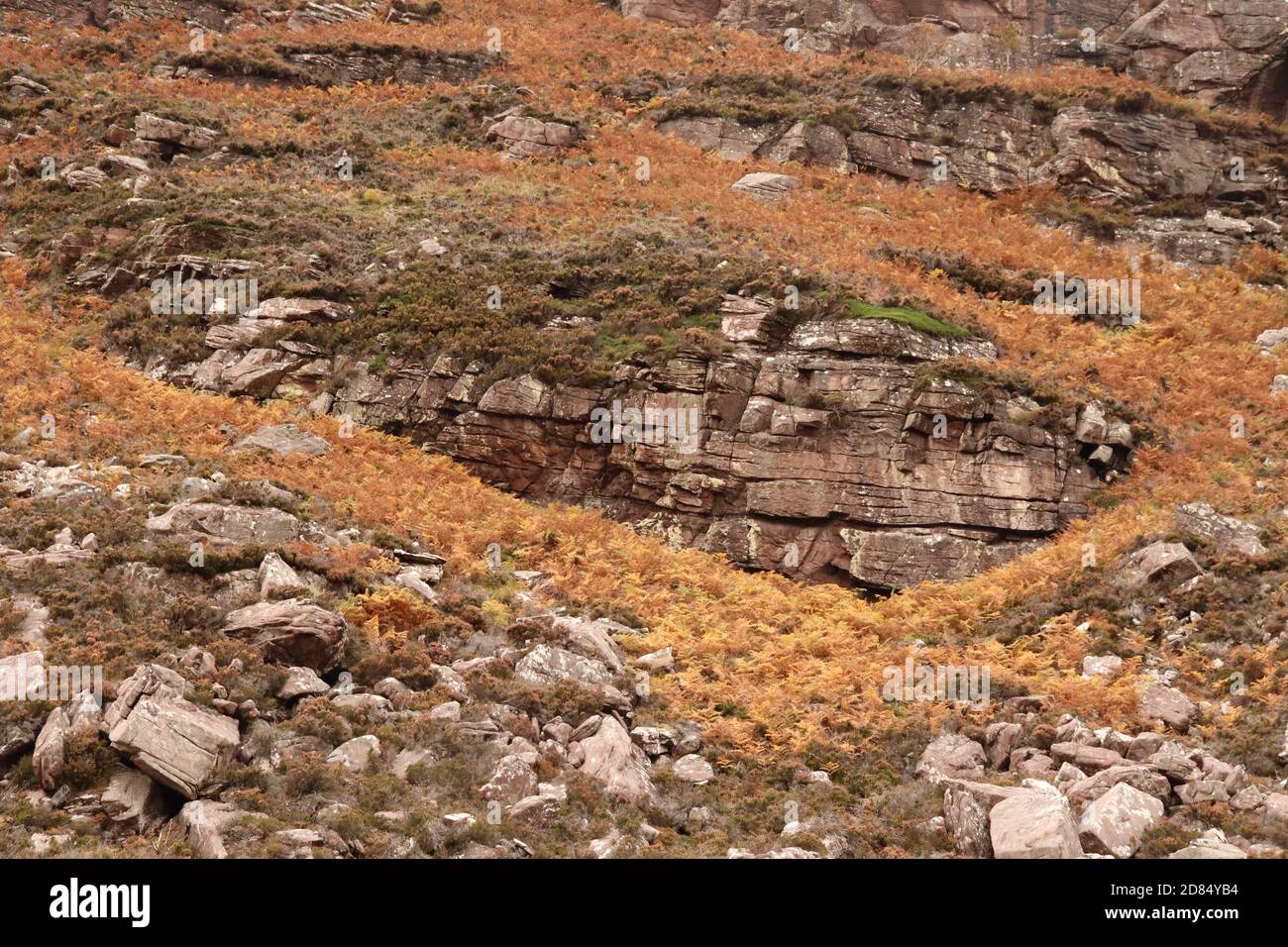 Boulders in Scottish highlands Stock Photo - Alamy