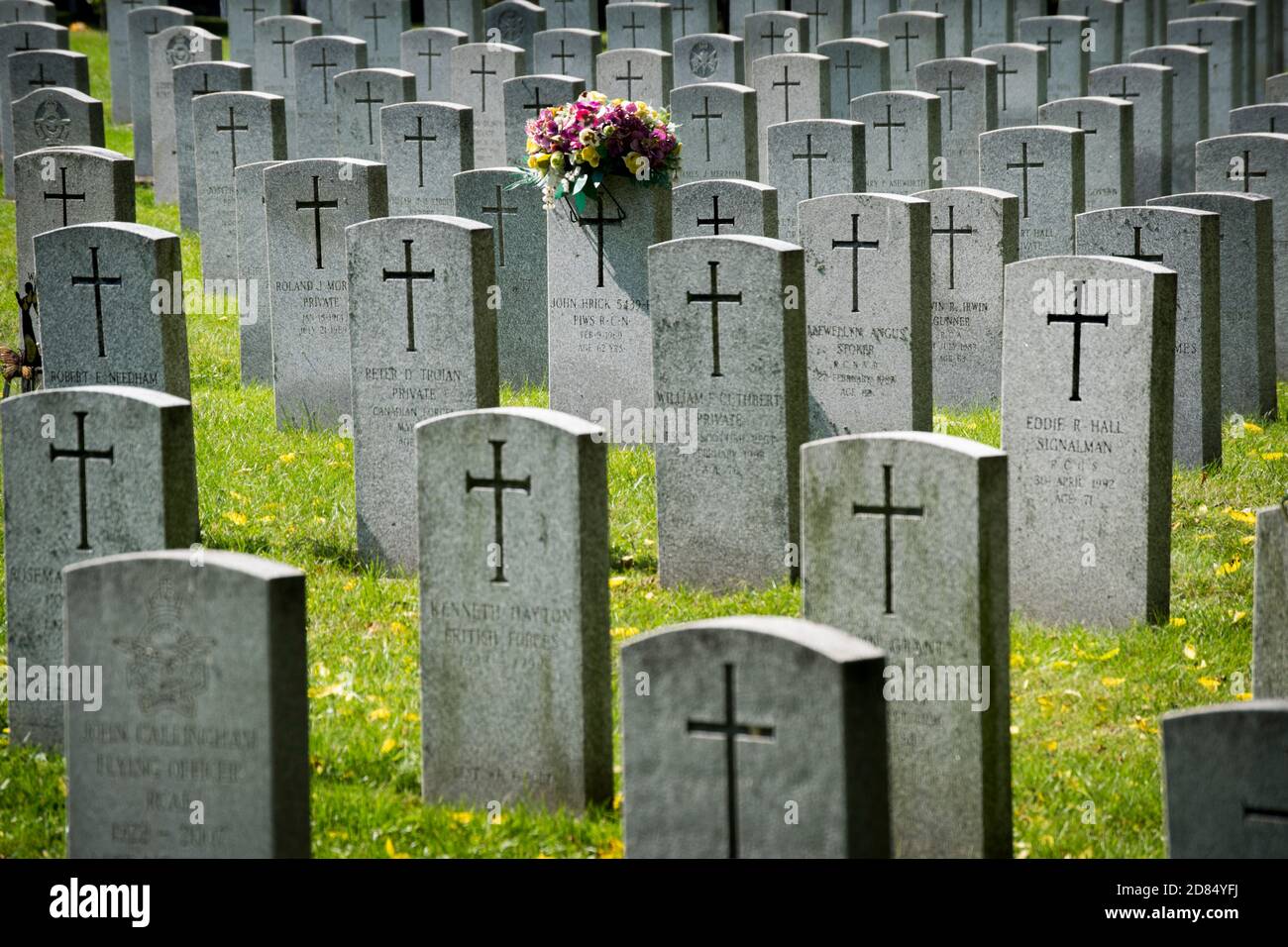 Row of tombstones hi-res stock photography and images - Alamy