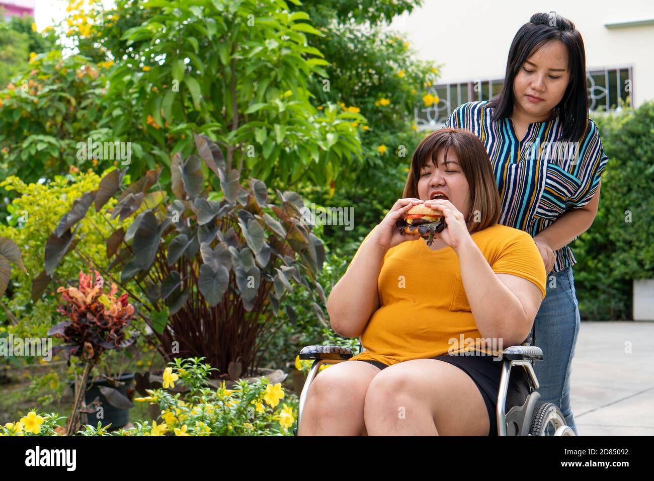 Fat wheelchair hi-res stock photography and images - Alamy