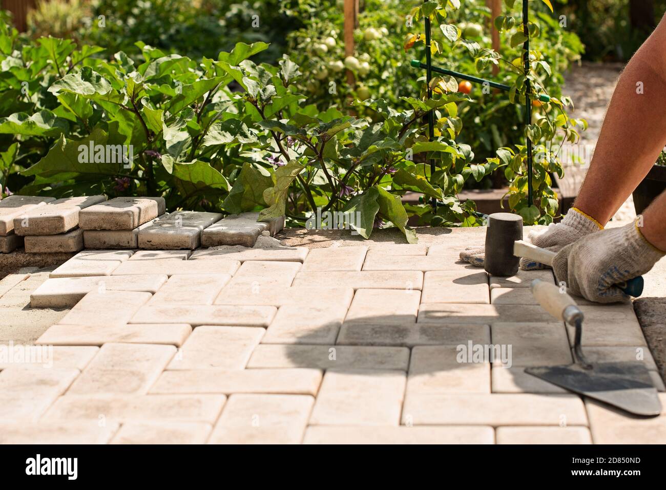 The master lays paving stones in layers. Garden brick pathway paving ...