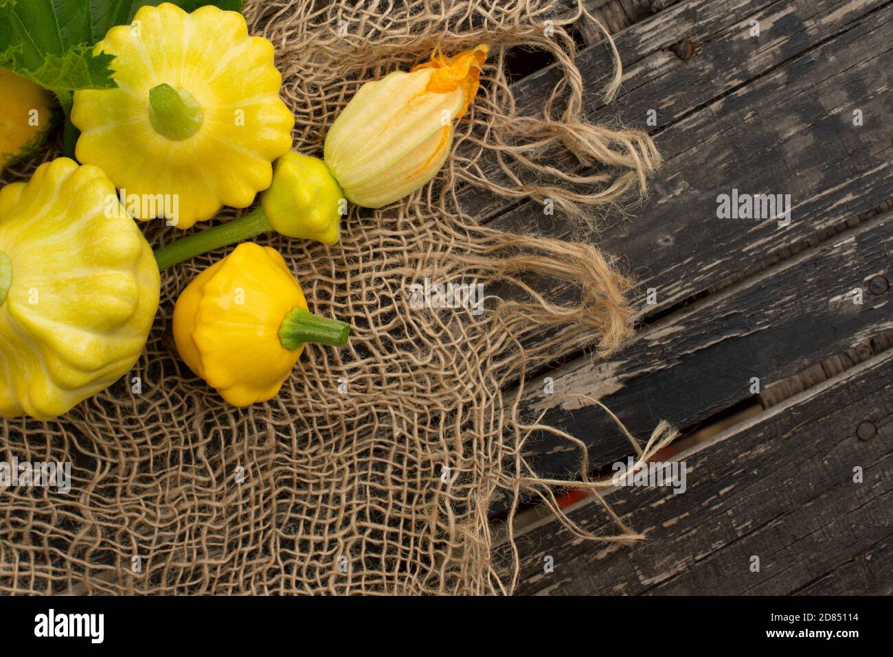 Patisson, Squash, dish-shaped pumpkin, raw vegetable on a dark wooden ...