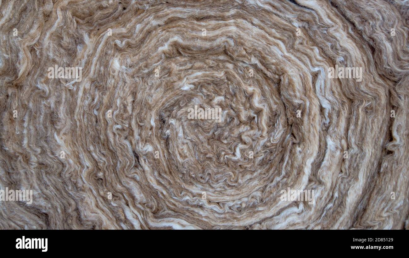 Hairy whirl hi-res stock photography and images - Alamy