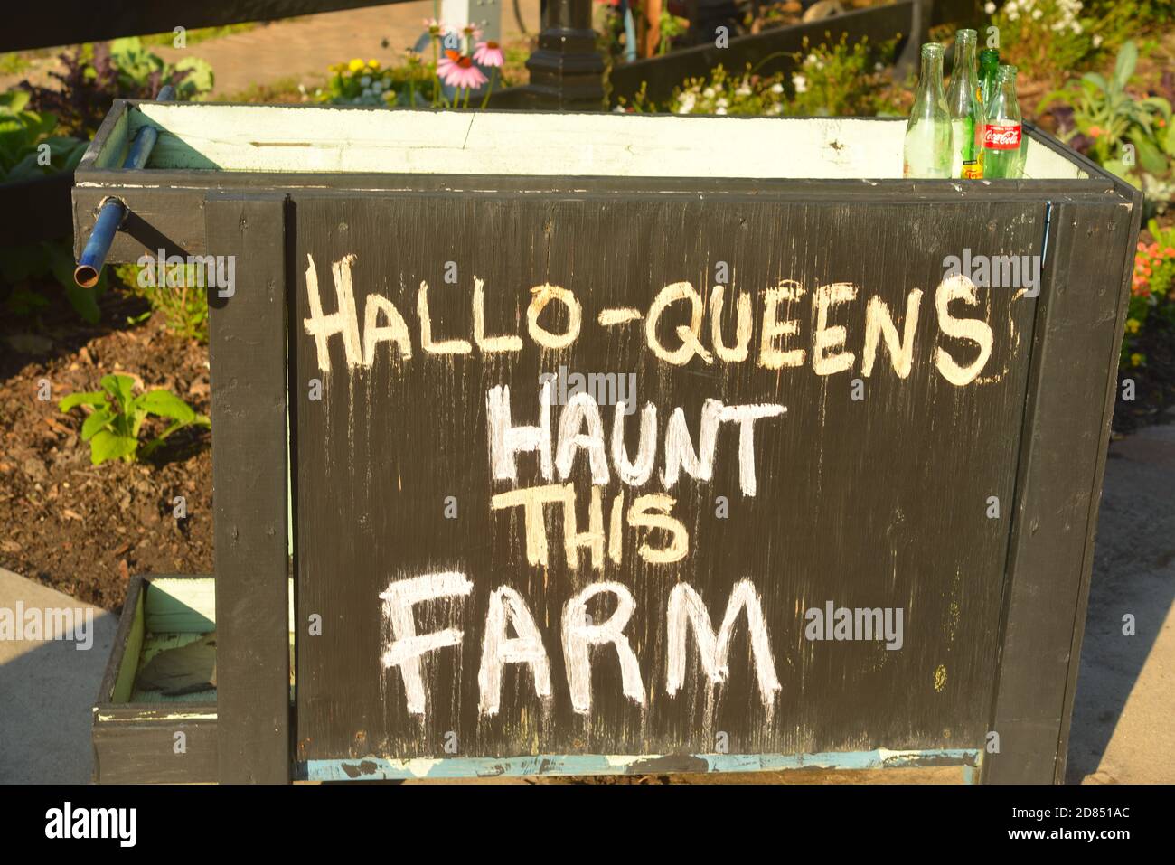Urban Garden, Painted Stones, Vegetables, New, Plants,Greek, Letters ...