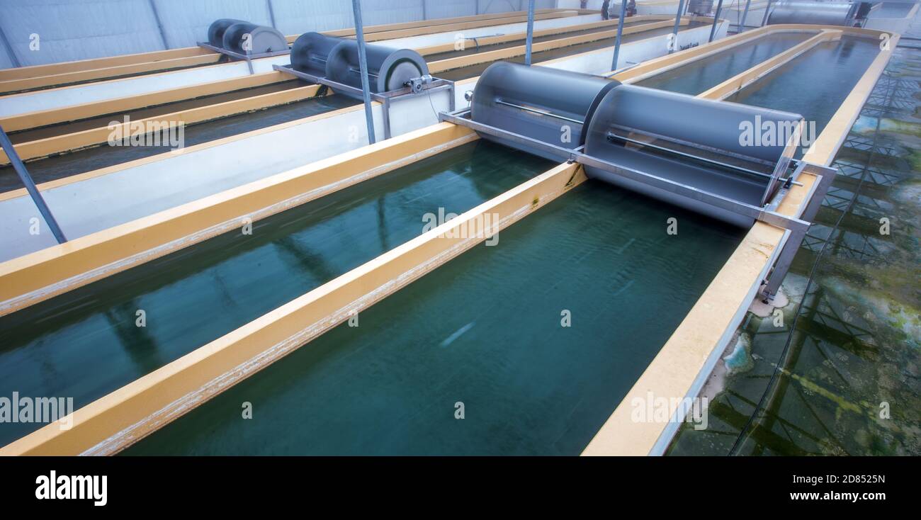 Algae farm europe hi-res stock photography and images - Alamy