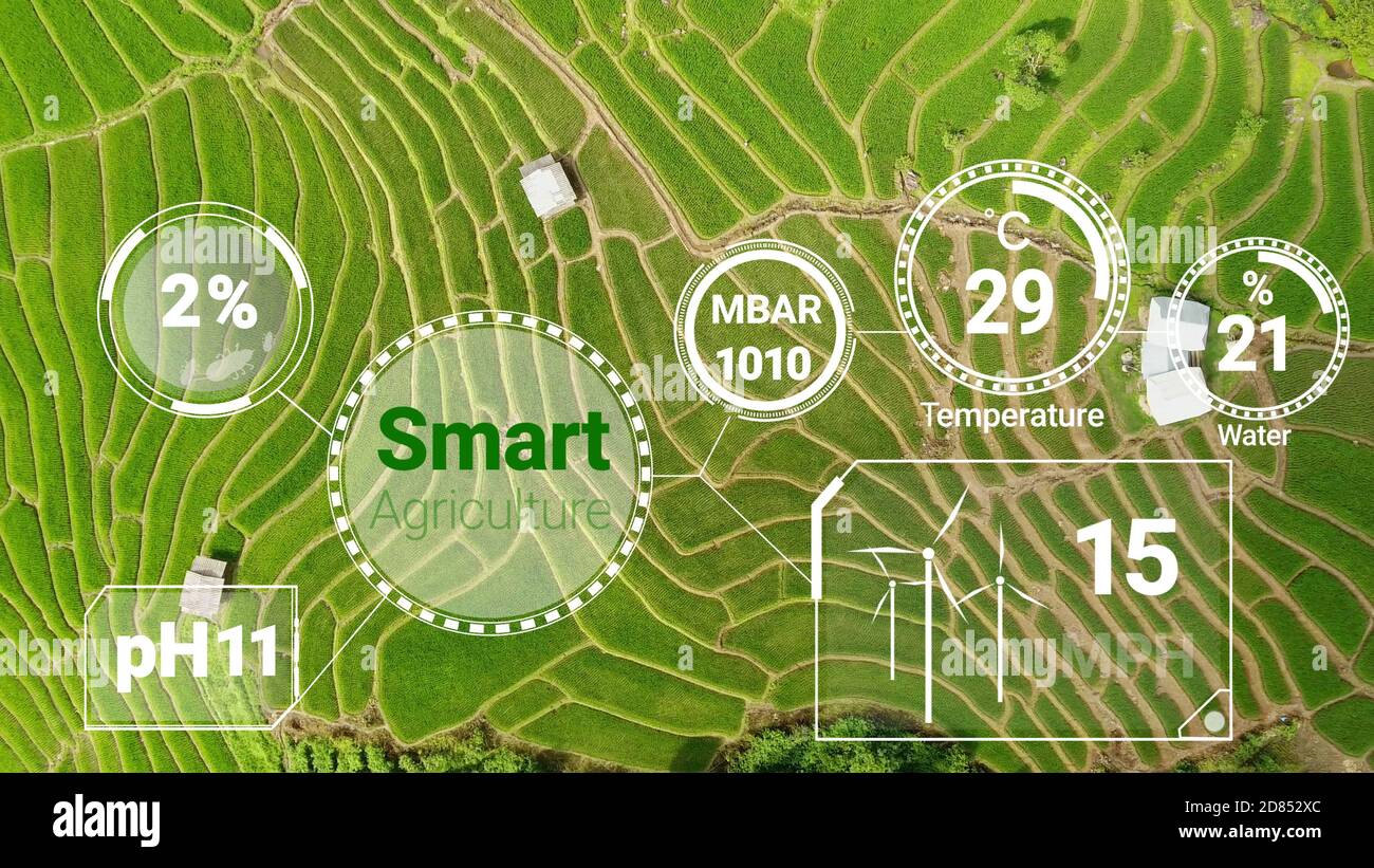 Smart digital agriculture technology by futuristic sensor data ...