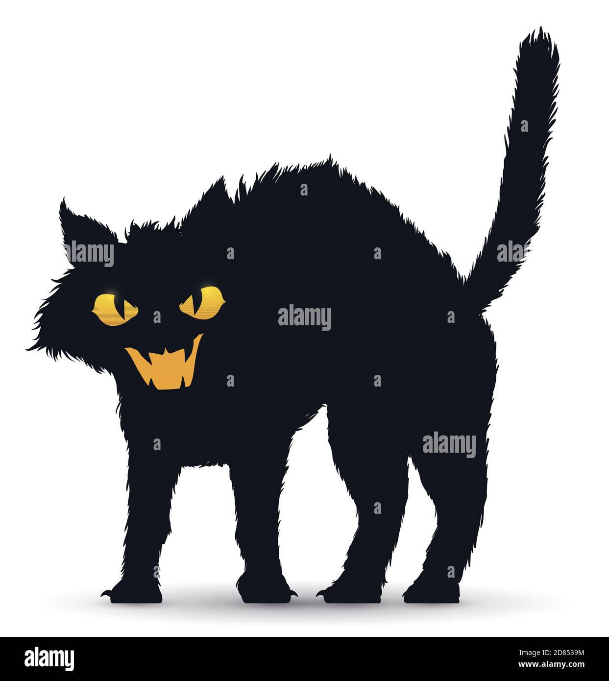 Gato Erizado