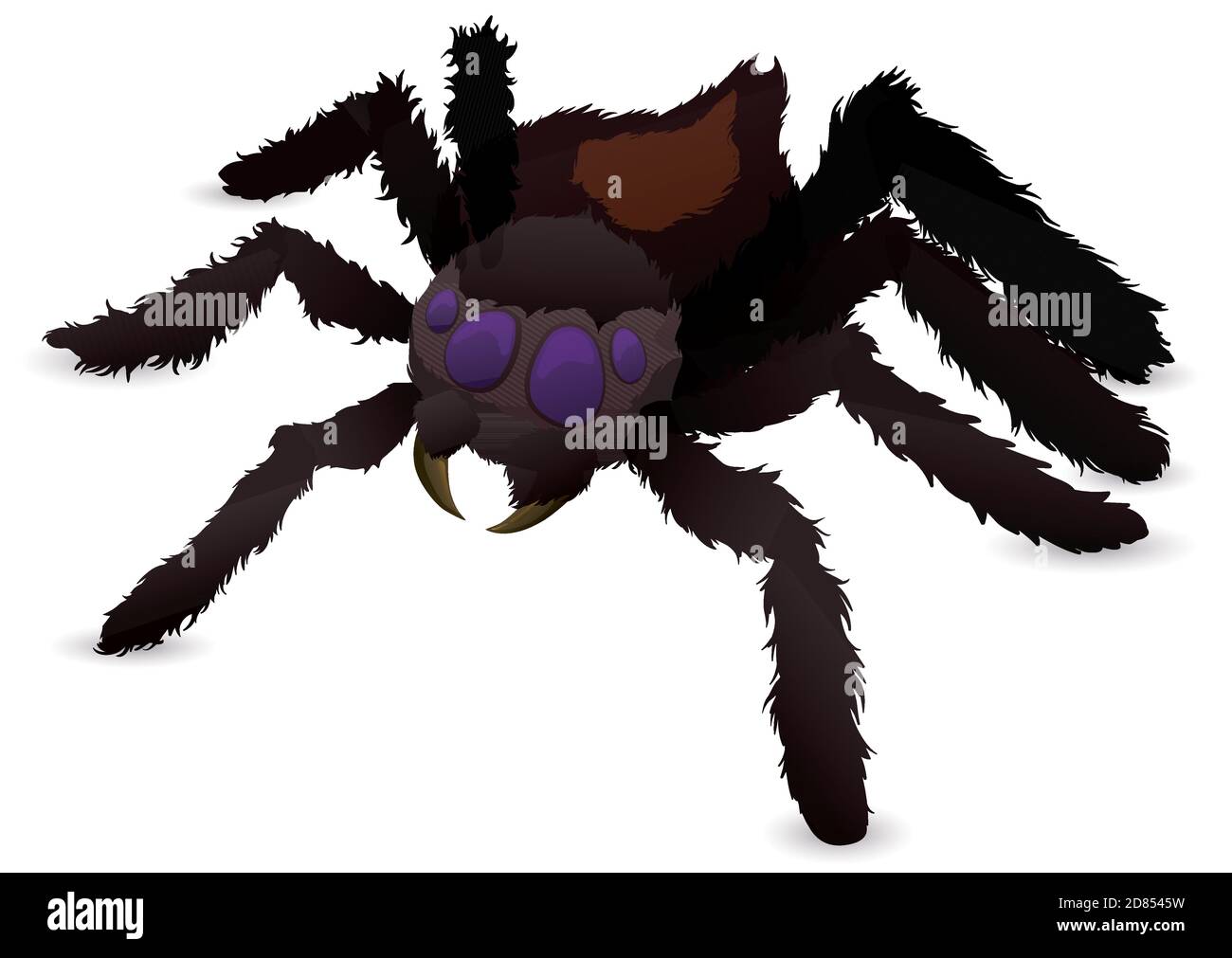 Giant white spider Stock Vector Images - Alamy