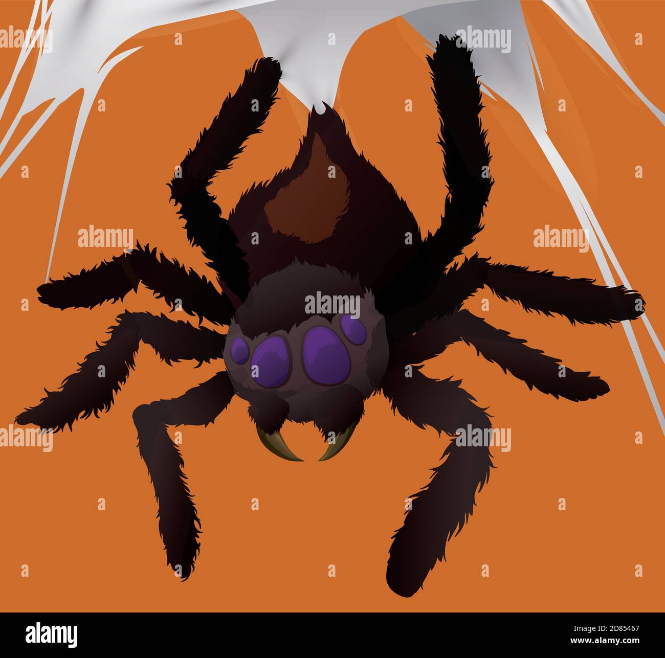 Spinneret glands Stock Vector Images - Alamy