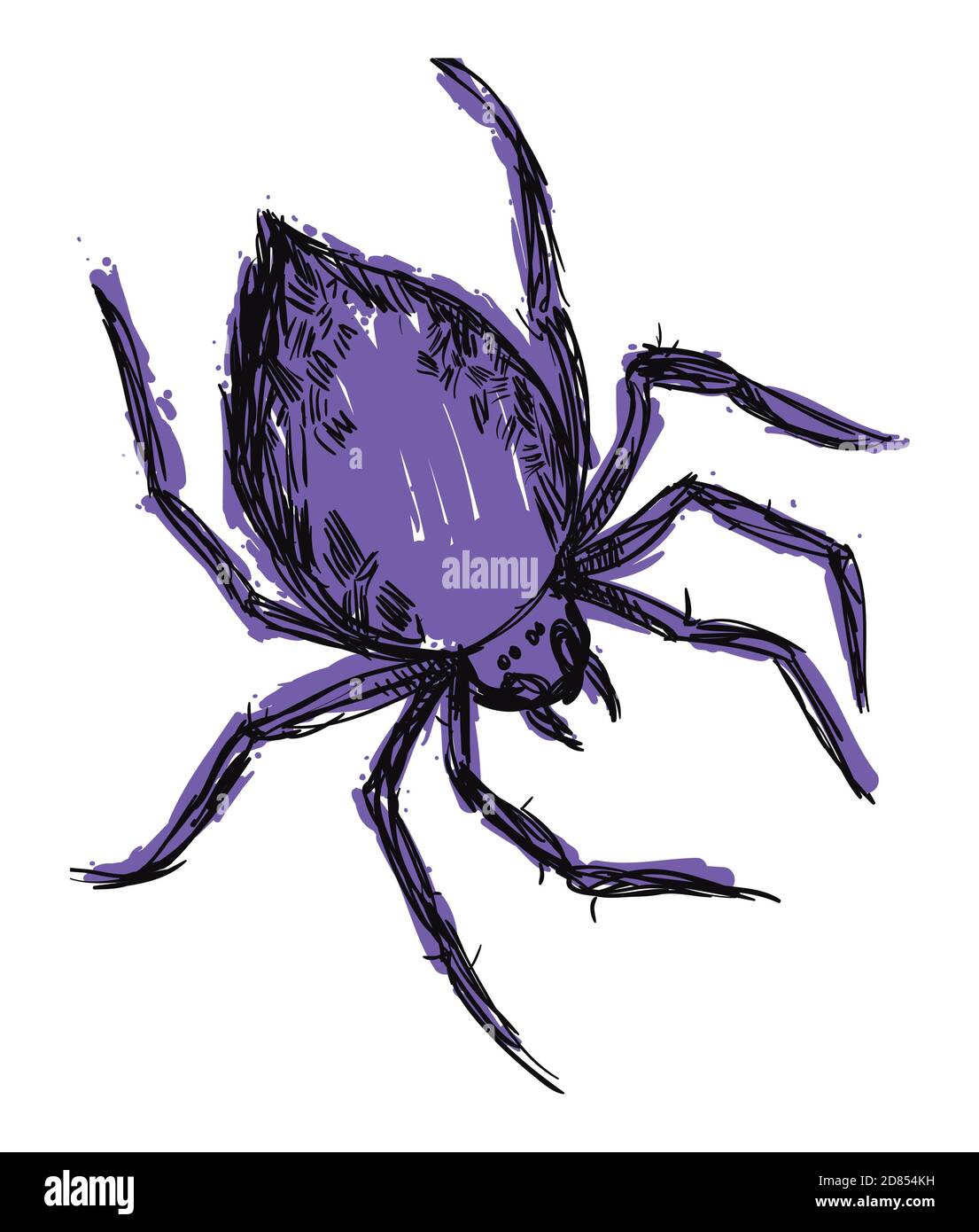 Spider in hand drawn style painted with purple brush strokes Stock ...