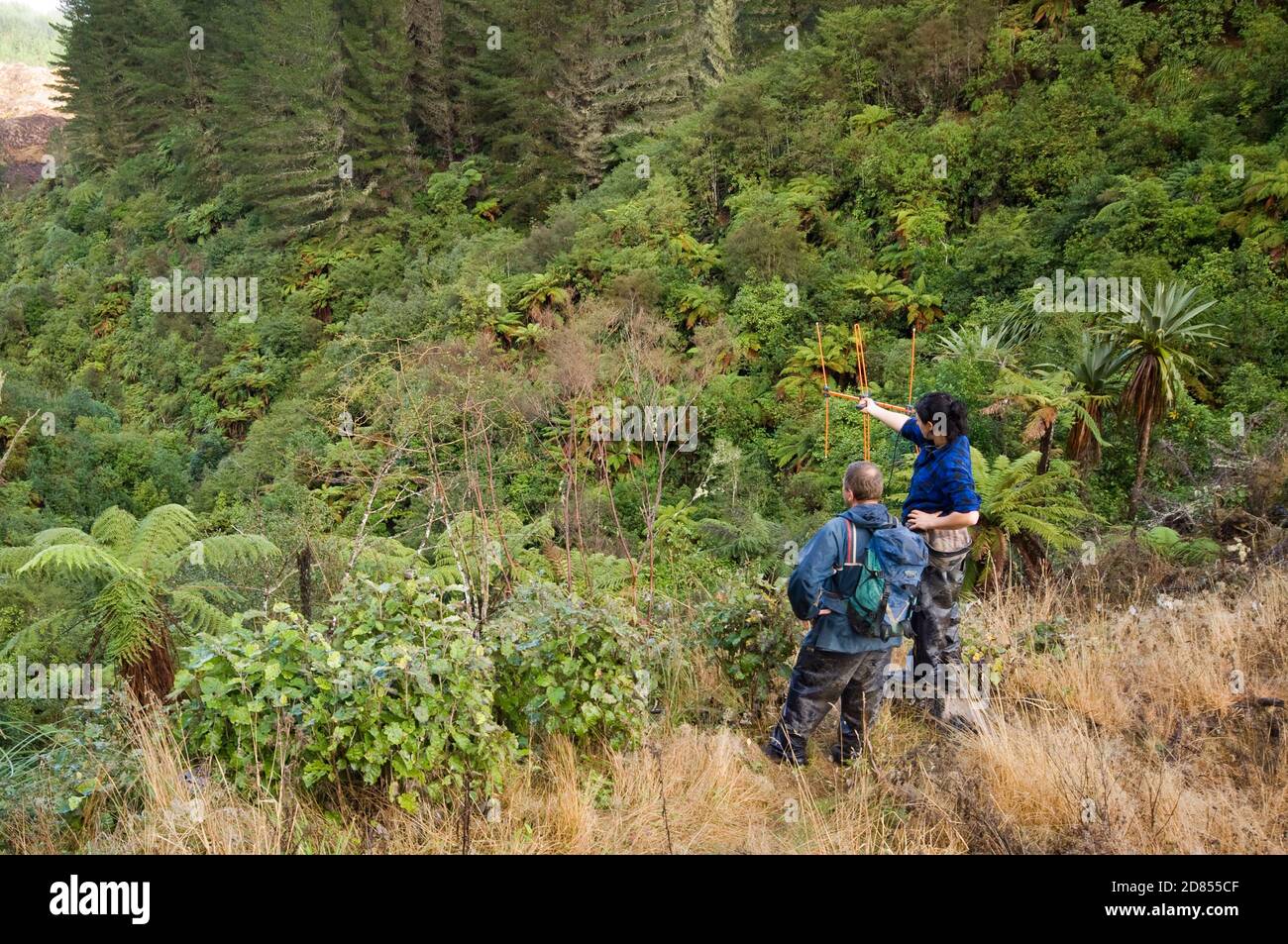 Kiwi bird egg hi-res stock photography and images - Alamy