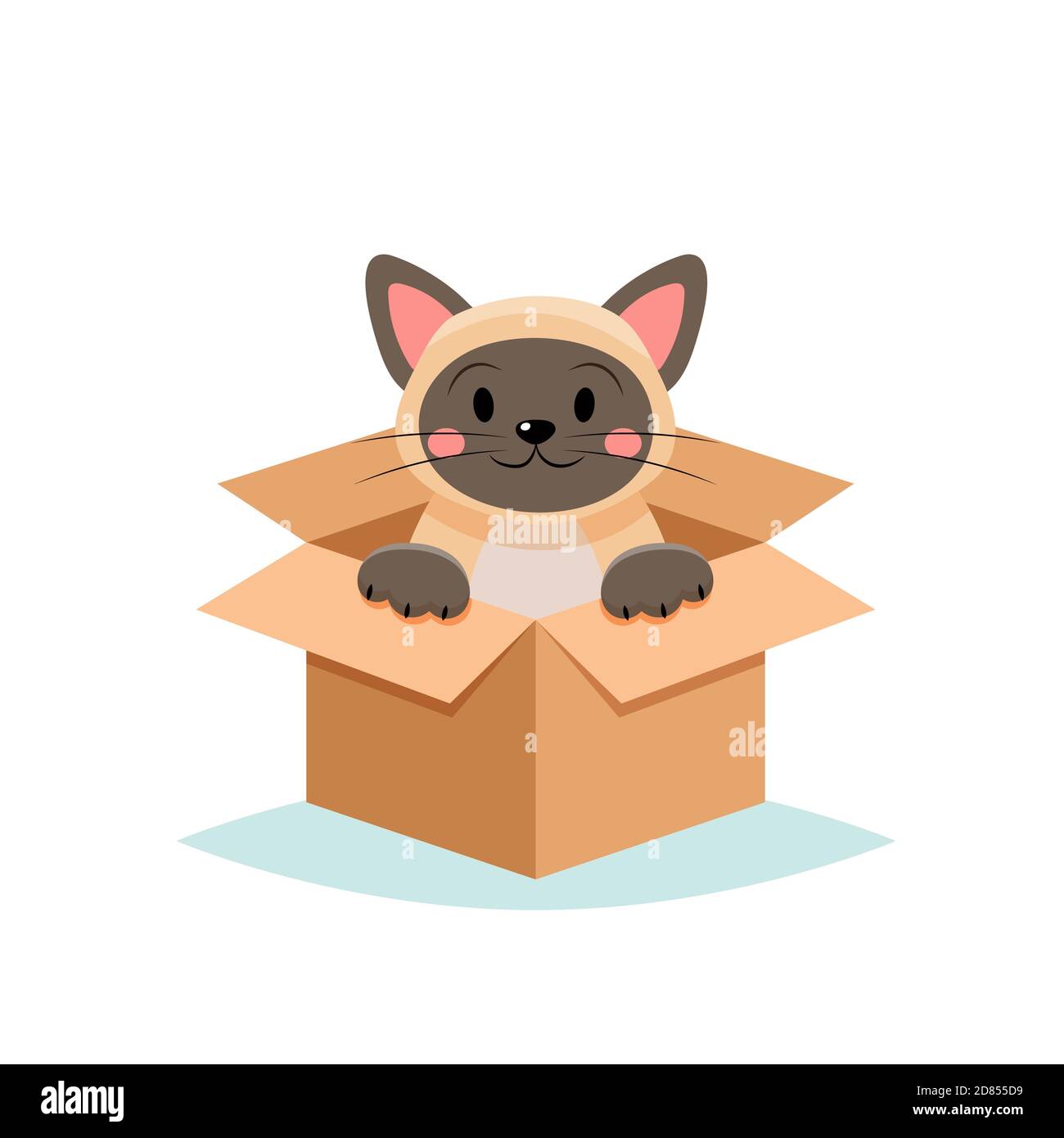 Cute Kittens In Boxes