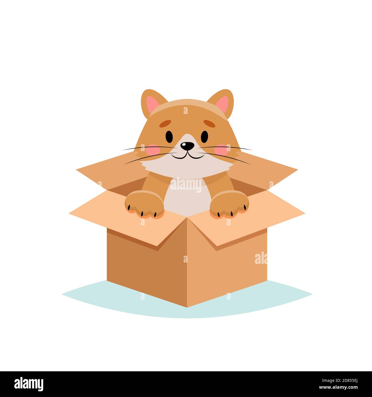 Adopt a pet - cute cat in a box, isolated on white background Stock ...