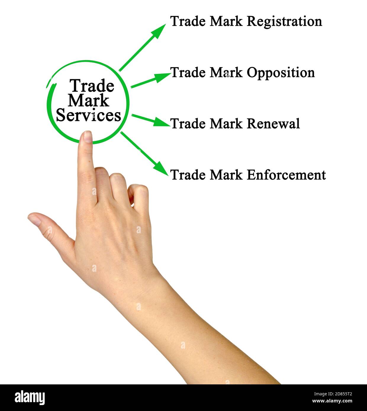 Trademark registration Cut Out Stock Images & Pictures - Alamy