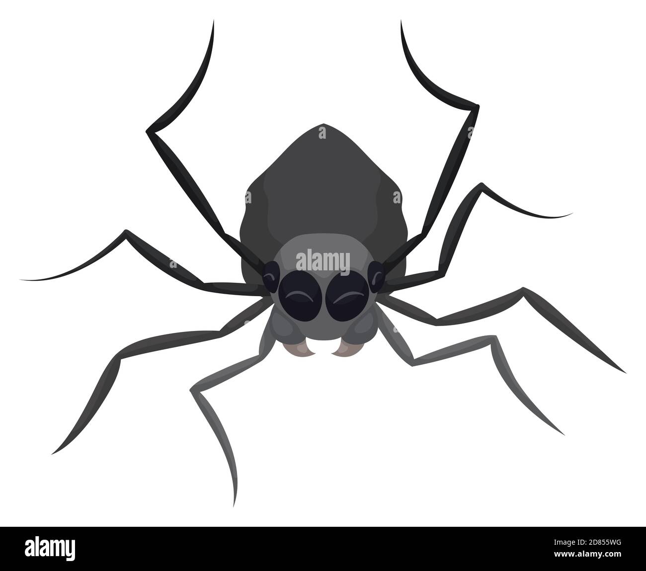 Happy Spider Clipart