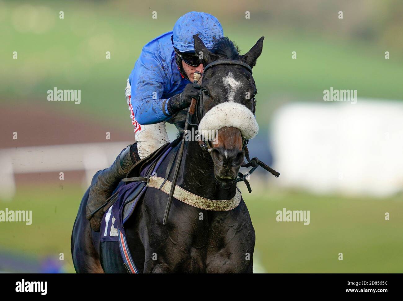 Adam Wedge riding Star Gate win The JPW Racing Tipster At ...