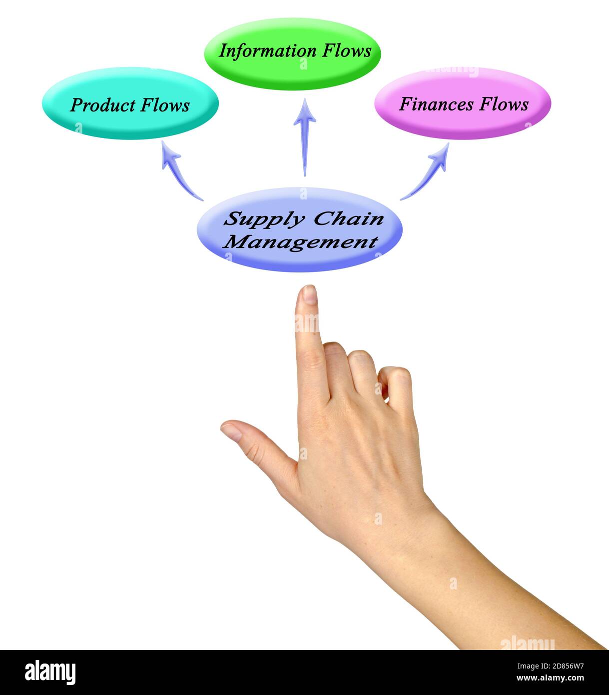 Components of Supply Chain Management Stock Photo - Alamy