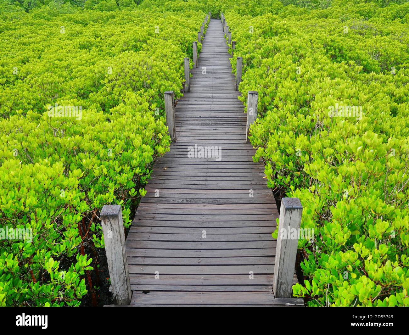 Bridge flanked hi-res stock photography and images - Alamy