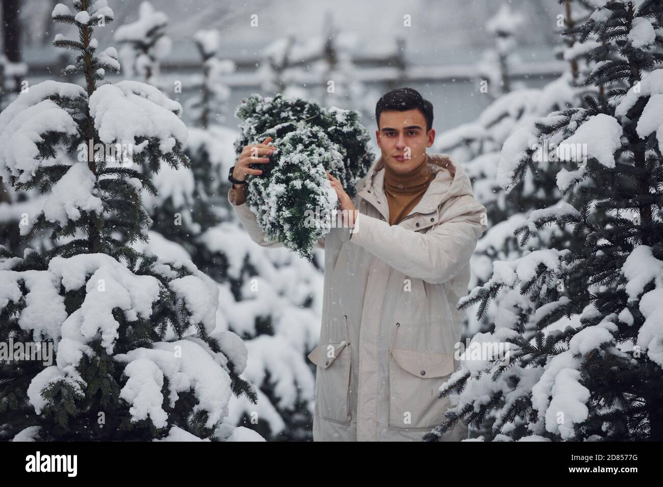 Man holding fir tree hi-res stock photography and images - Alamy