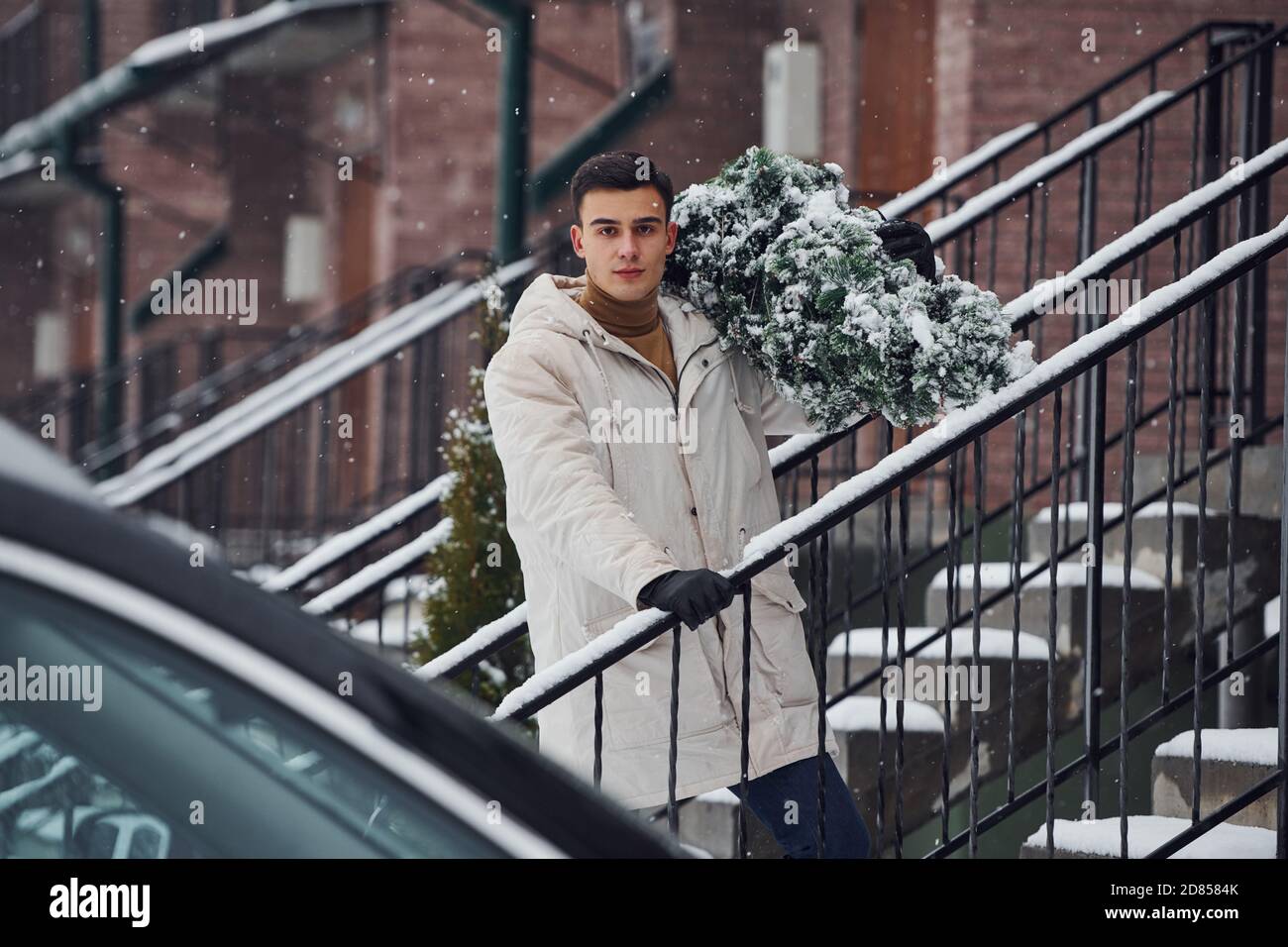 Man with christmas tree standing on the ladder of building Stock Photo ...