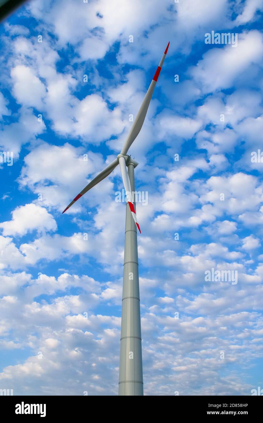 Windmill park, huge windmill generator turbines. Alternative energy ...