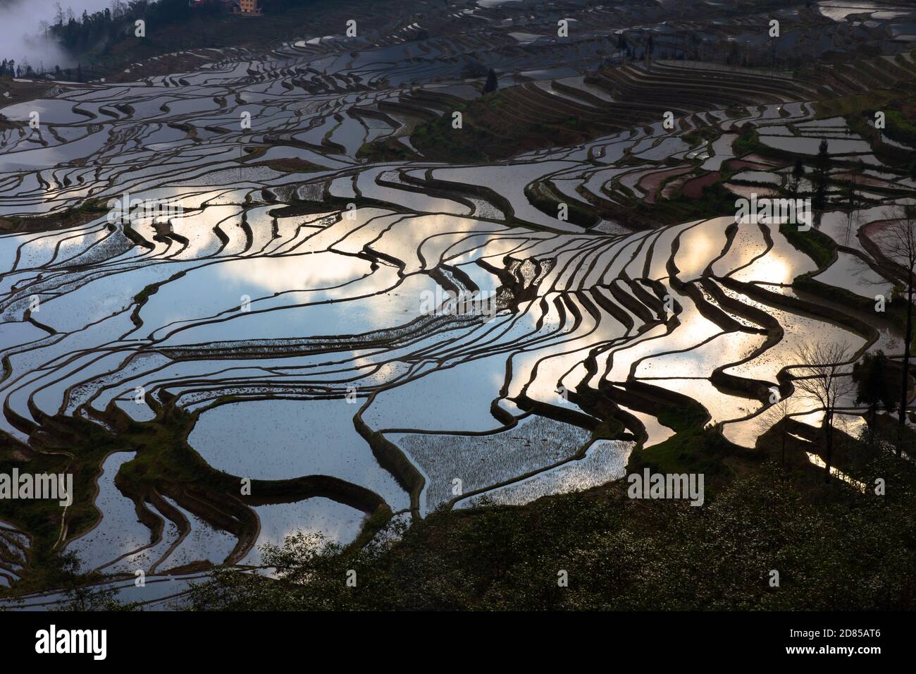Yuan Yang Rice Terrace in China, Largest Rice Terrace in the World ...