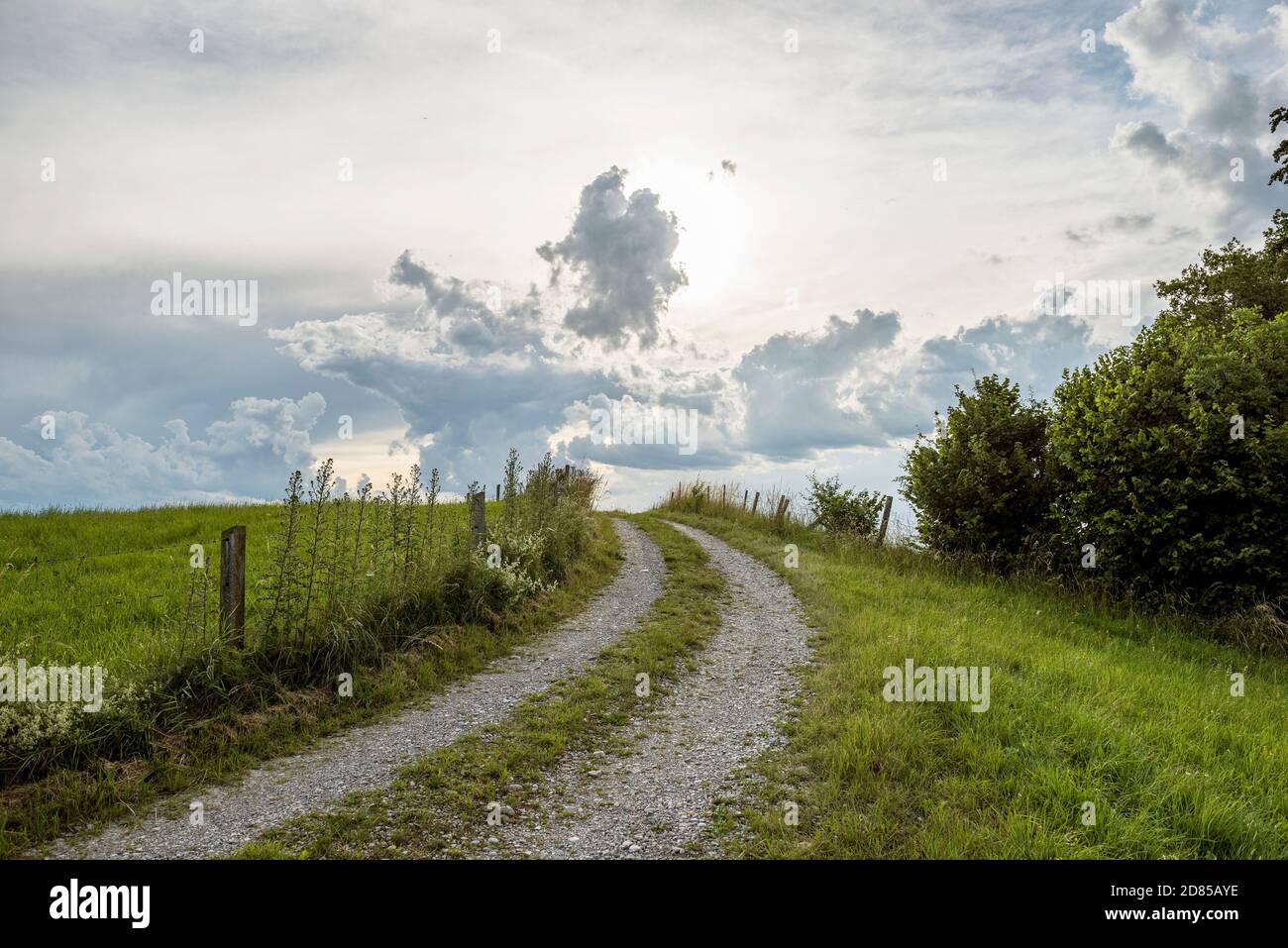 Path - Upper Bavaria, Germany Stock Photo - Alamy