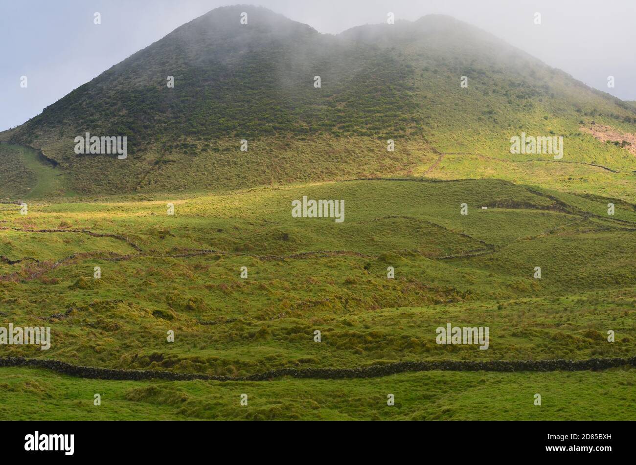 Peatlands in the high volcanic plateau of Pico island, Azores ...