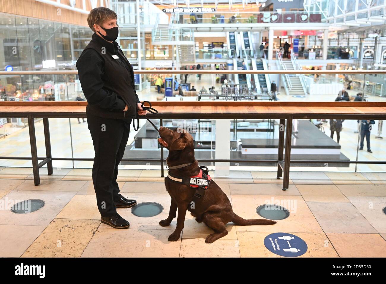 A dog is put through its paces in demonstration by the charity Medical ...