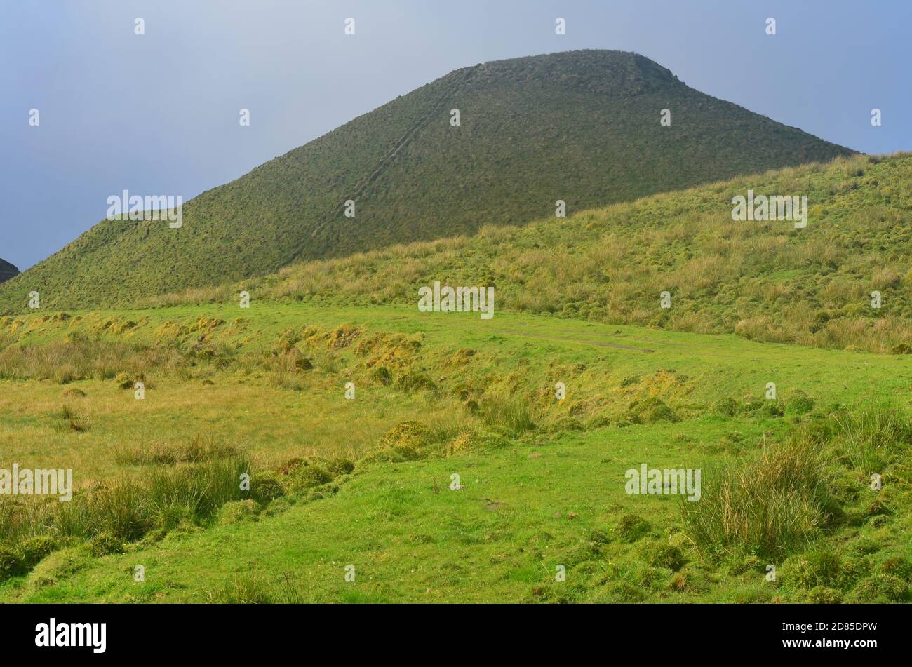 Peatlands in the high volcanic plateau of Pico island, Azores ...