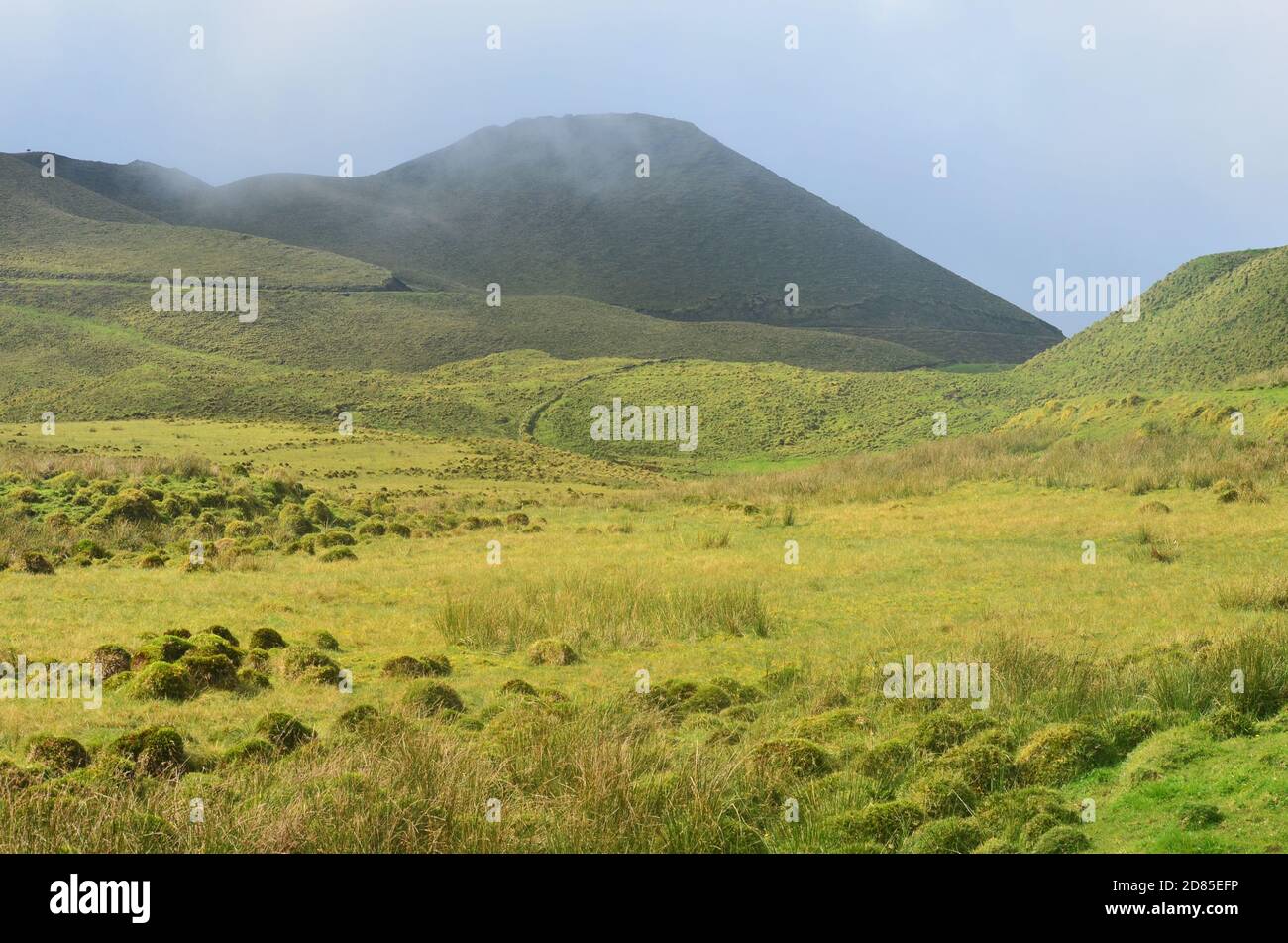 Peatlands in the high volcanic plateau of Pico island, Azores ...