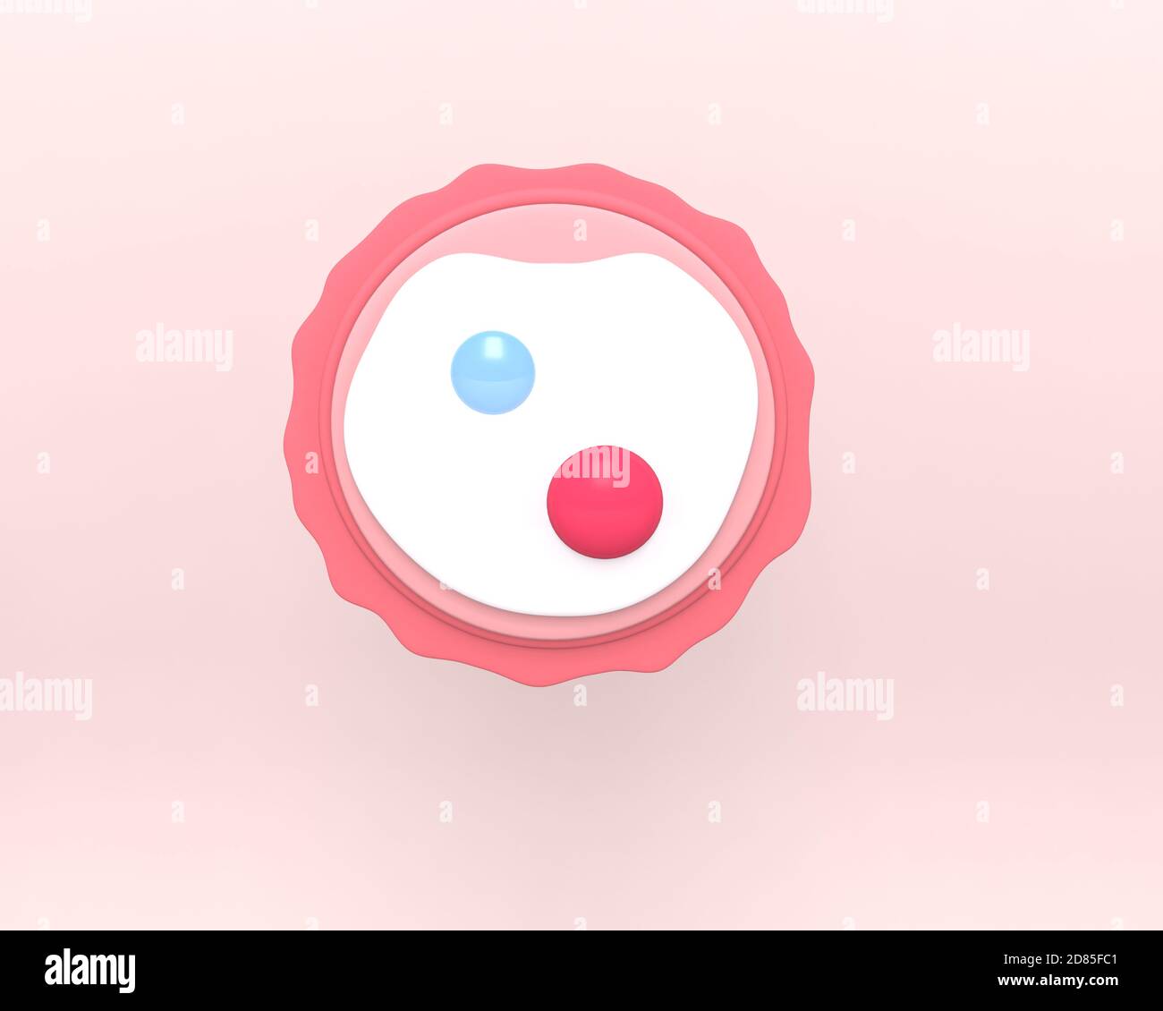 Fertilization. Zygote is an egg and sperm. The Stage of segmentation of ...
