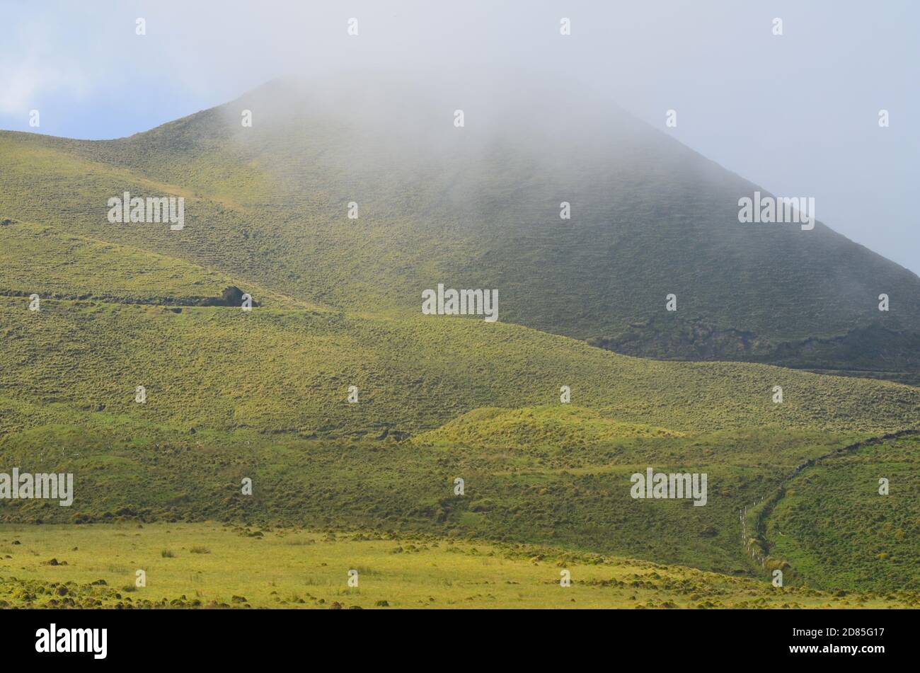 Peatlands in the high volcanic plateau of Pico island, Azores ...