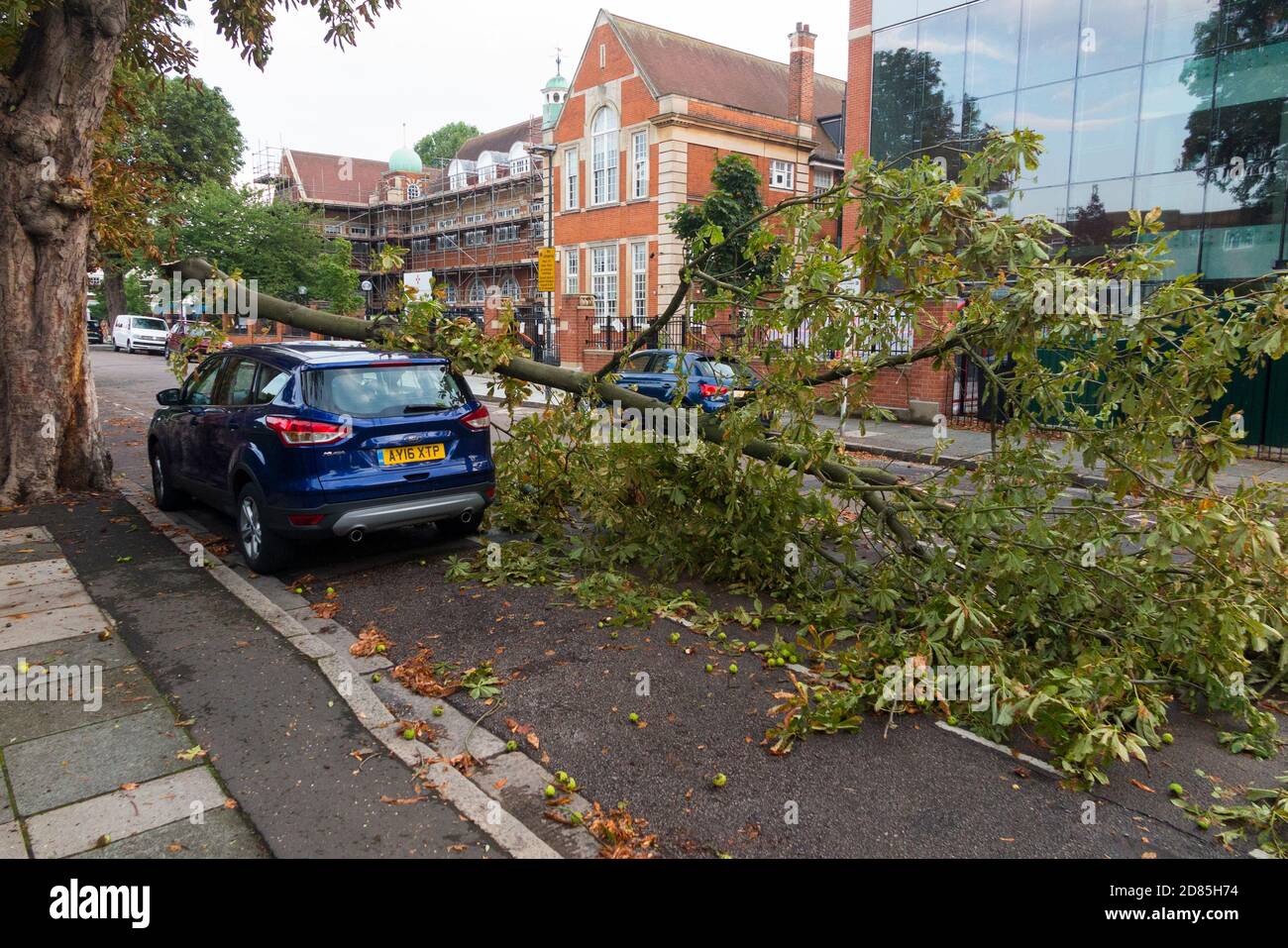 Car trees accident crushed hi-res stock photography and images - Alamy