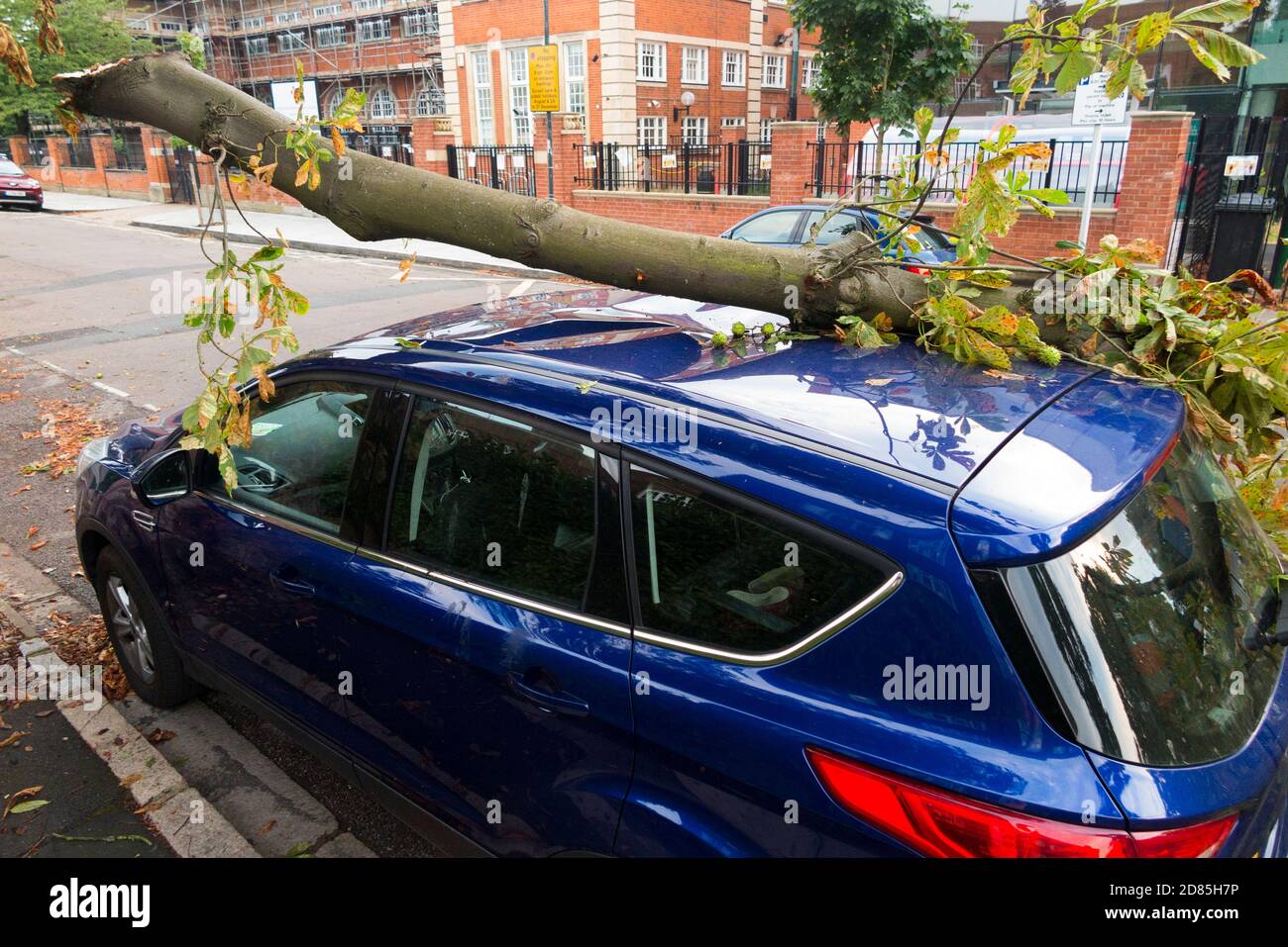 A parked car is partially crushed by the fallen branch of a tree which ...