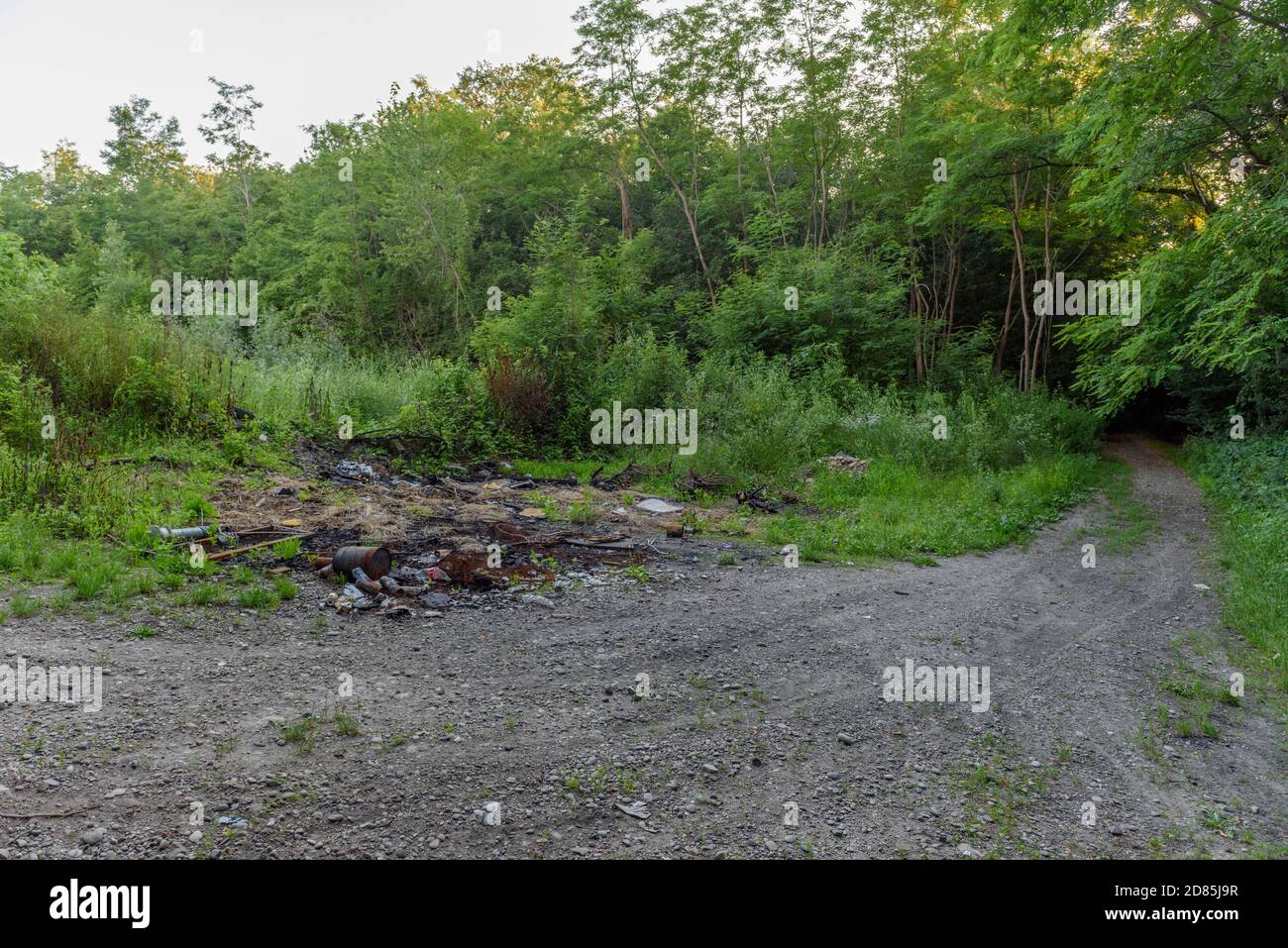 garbage dump in the wild, World Environment Day Concept Stock Photo - Alamy