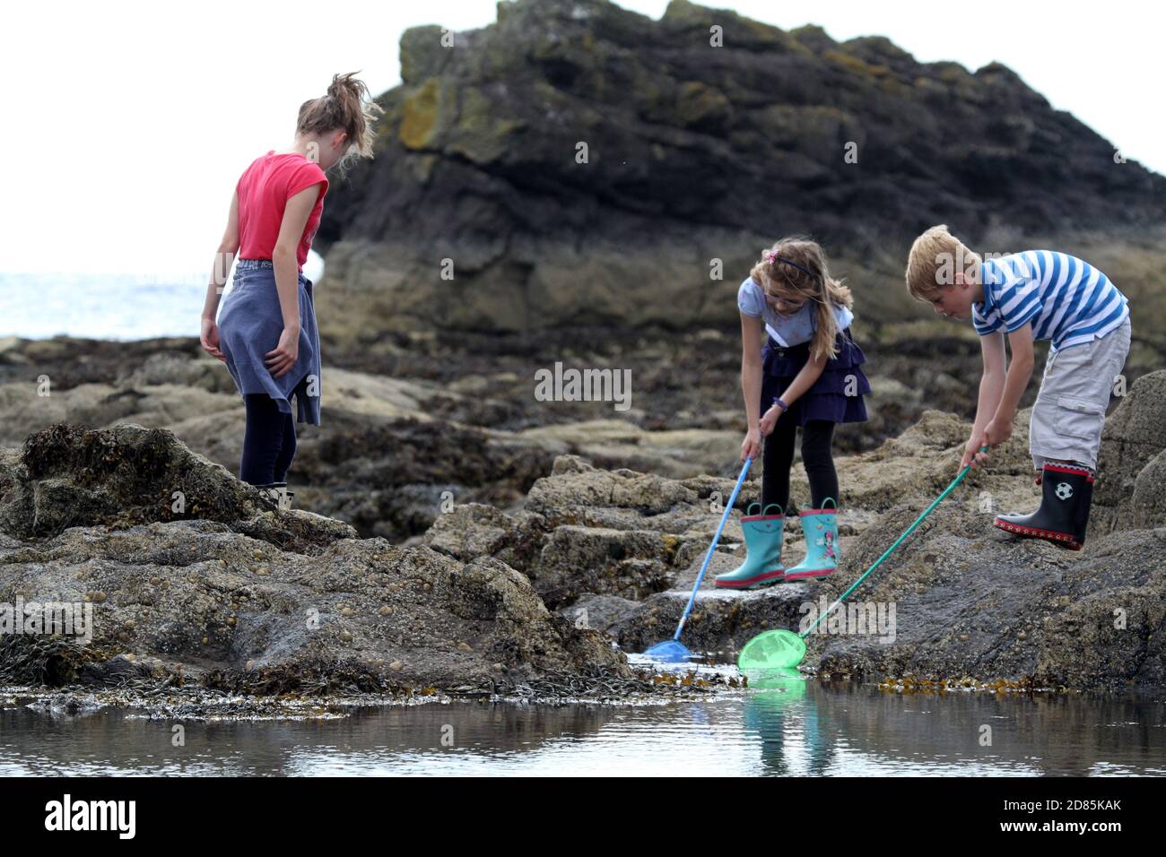 Rock pools children uk hi-res stock photography and images - Alamy