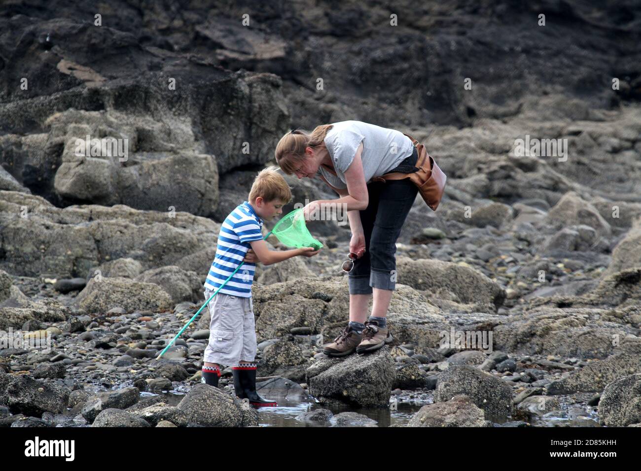 Rockpooling scotland hi-res stock photography and images - Alamy
