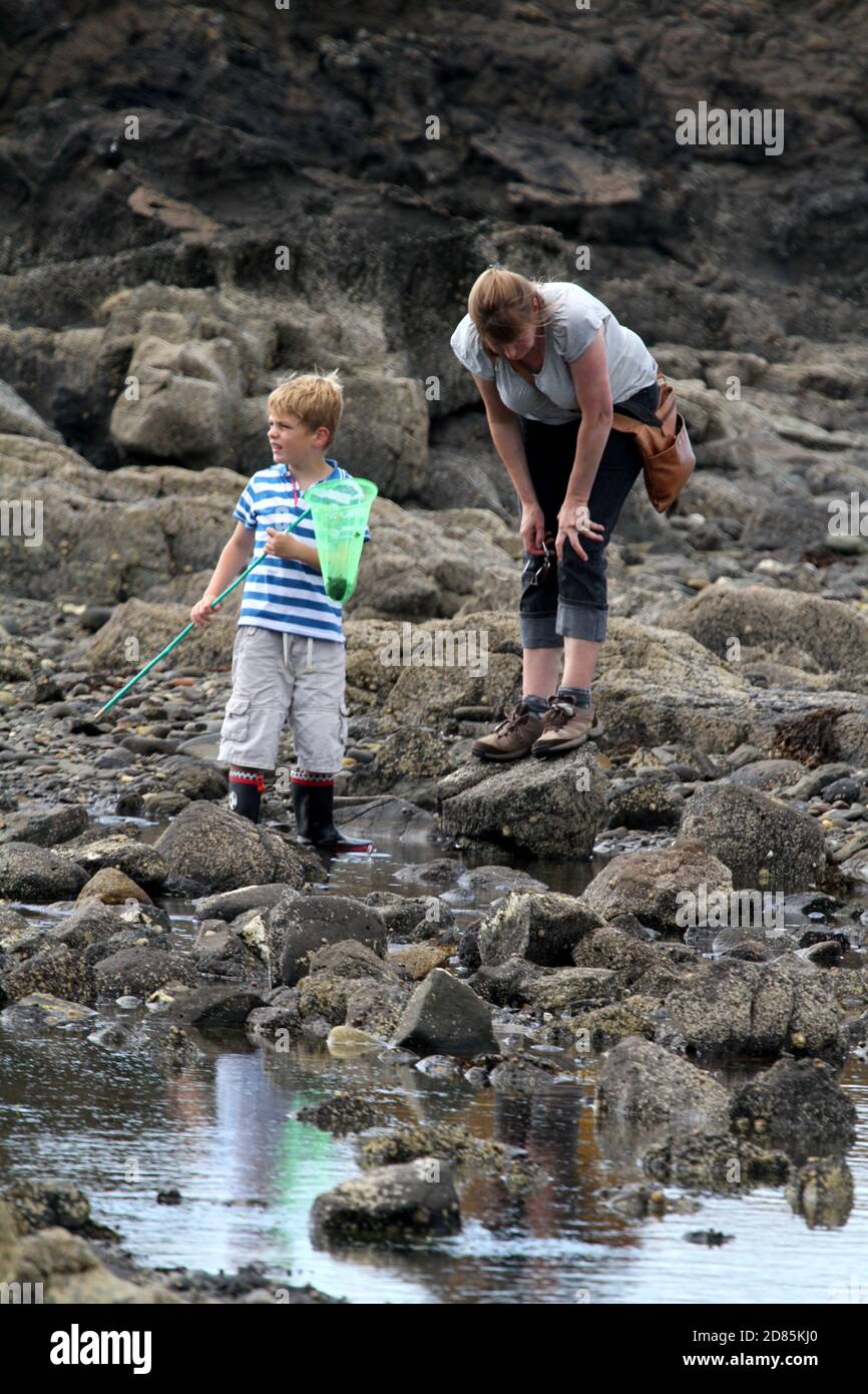Rock pooling children hi-res stock photography and images - Alamy